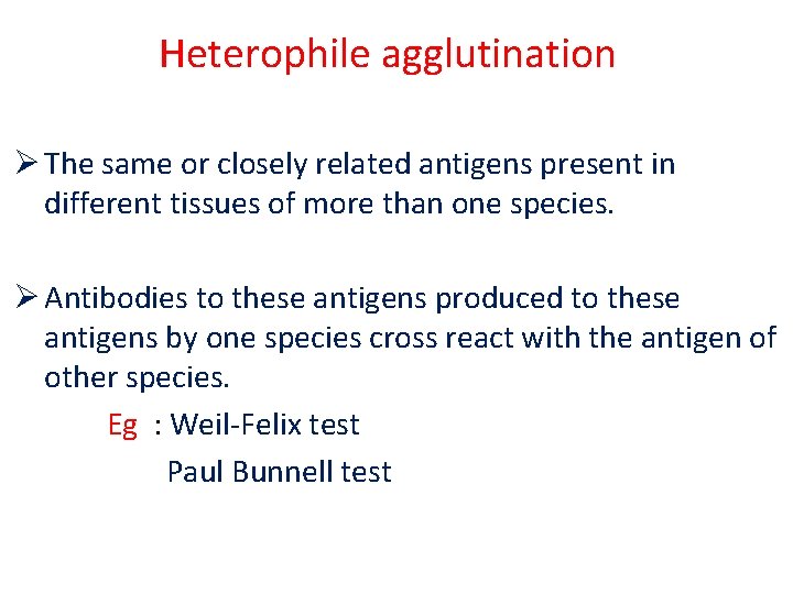 AntigenAntibody reactions Ag Ab reactions in vitro are