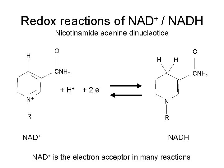 Engineering of Biological Processes Lecture 1 Metabolic pathways