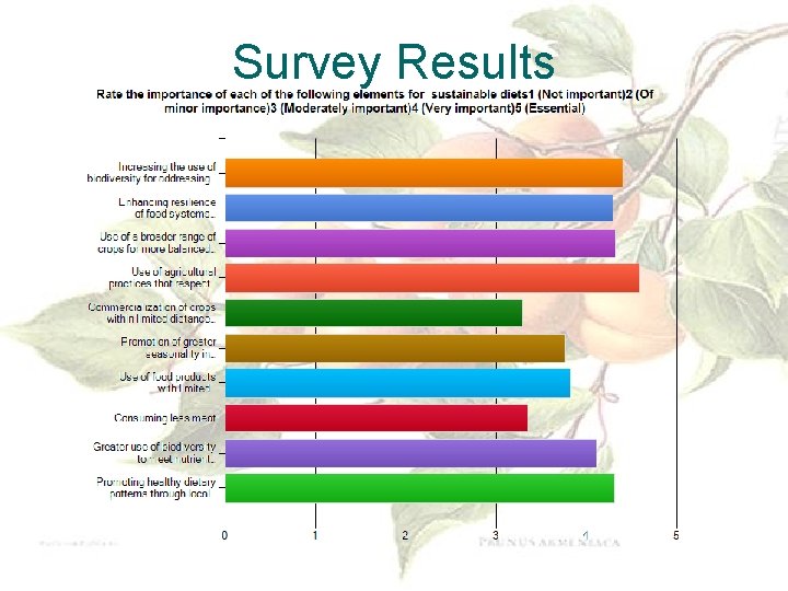 Our Challenge Life Food for Everyone Barbara Burlingame