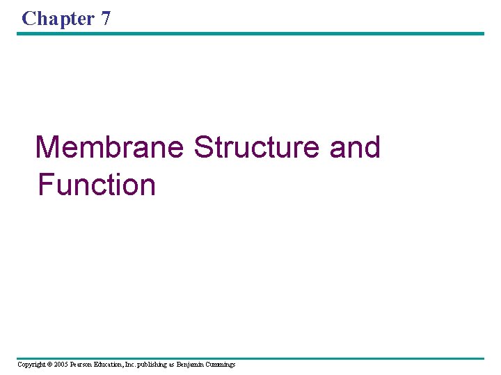 Chapter 7 Membrane Structure and Function Copyright 2005