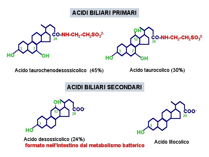 SALI BILIARI Cholesterol ACIDI BILIARI PRIMARI OH CONHCH