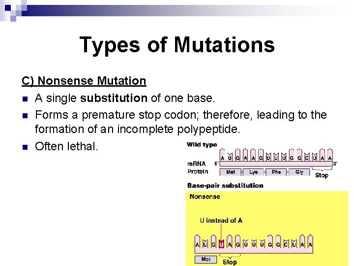 BIG QUESTIONS 1 ARE ALL MUTATIONS BAD EXPLAIN