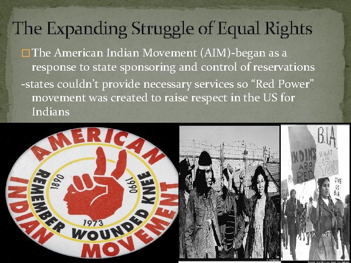 Expanding Equality 1960s and Vietnam Unit 11 Struggle