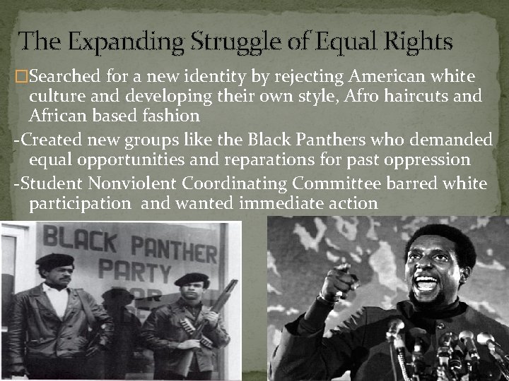 Expanding Equality 1960s and Vietnam Unit 11 Struggle