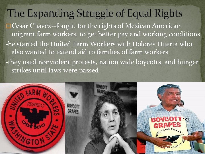 Expanding Equality 1960s and Vietnam Unit 11 Struggle