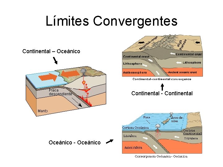 Tectnica de Placas Qu es la Tectnica de