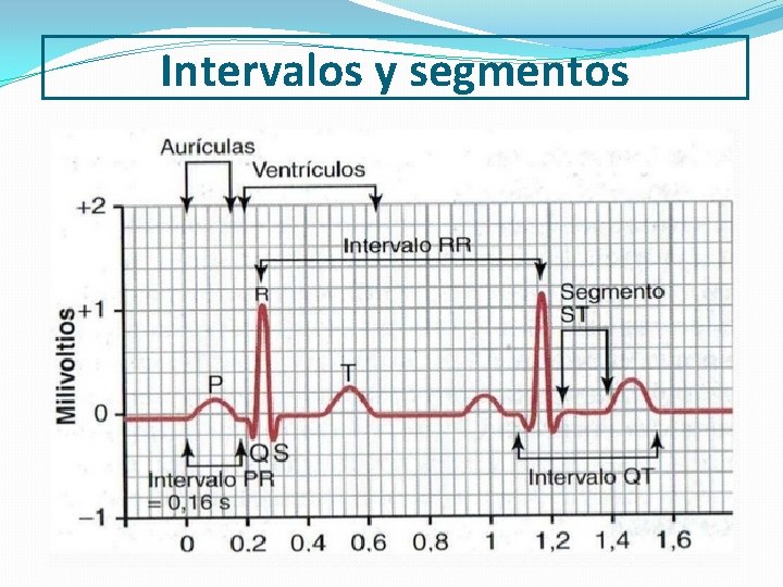 Lectura e interpretacin del electrocardiograma Ricardo Rodrguez lvarez