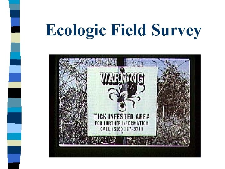 LYME DISEASE Mary Grace Stobierski DVM MPH DACVPM