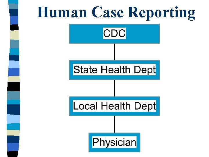 LYME DISEASE Mary Grace Stobierski DVM MPH DACVPM