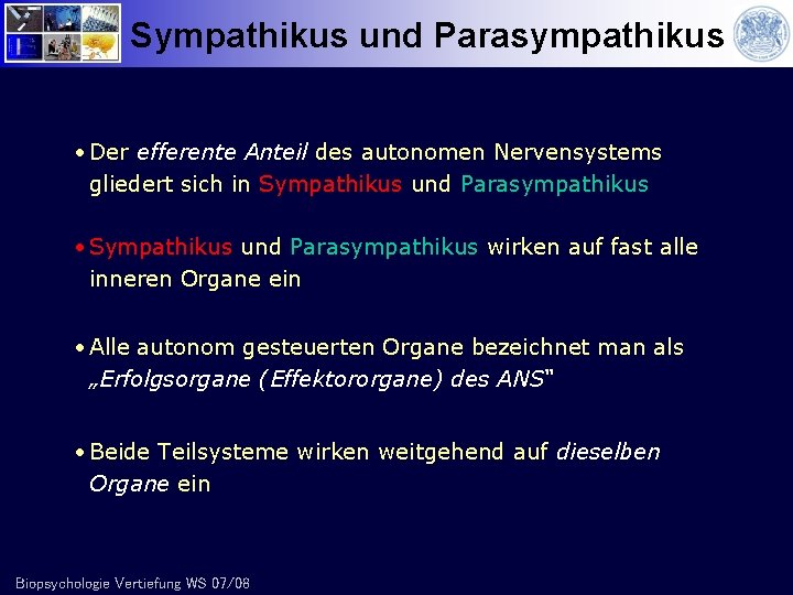 Autonomes Nervensystem bersicht Das menschliche Nervensystem Das autonome