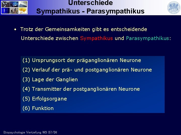 Autonomes Nervensystem bersicht Das menschliche Nervensystem Das autonome