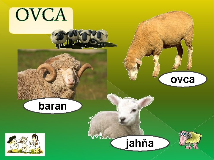 kola 21 storoia Dopytovo orientovan projekt Modern vzdelvanie