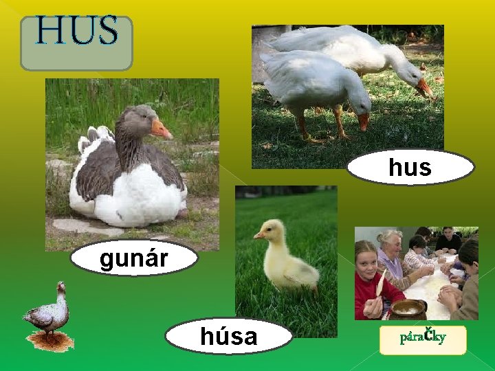 kola 21 storoia Dopytovo orientovan projekt Modern vzdelvanie