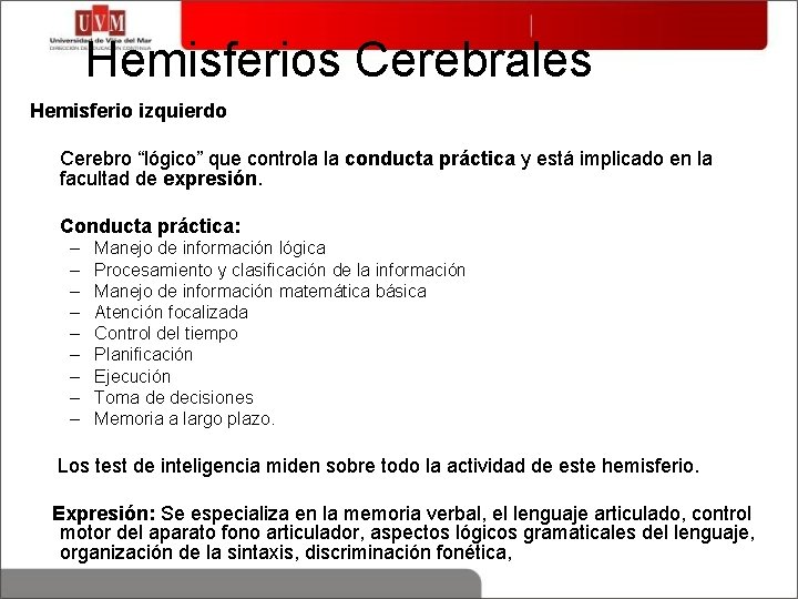 Neuro Psicologa Lorena Torres Meier Sistema Nervioso Anatmicamente