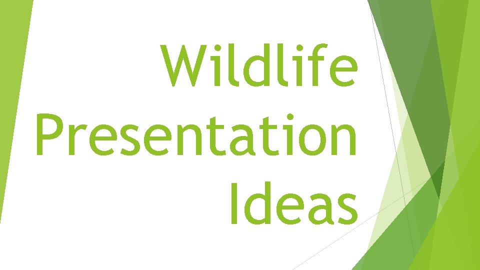 Wildlife Presentation Ideas Introduction There are many ways