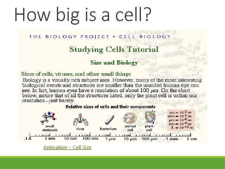 Cell Structure Function Cell Theory 1 All living