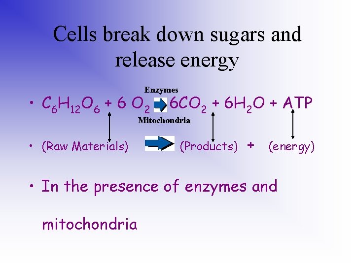 Cell Processes and Energy Photosynthesis All about Photosynthesis