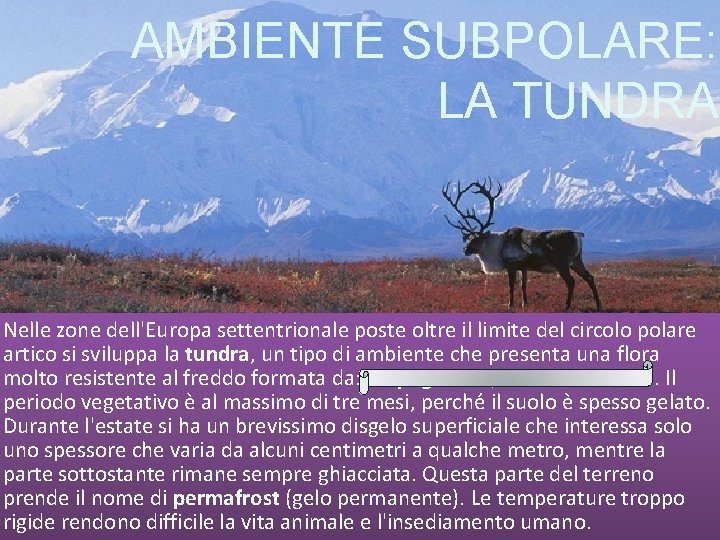 insiemi di animali e piante comprendenti organismi anche