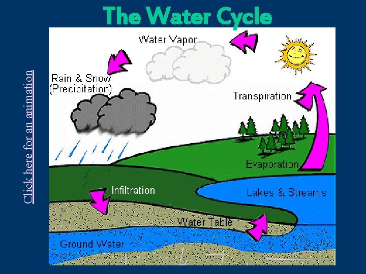 Click here for an animation The Water Cycle