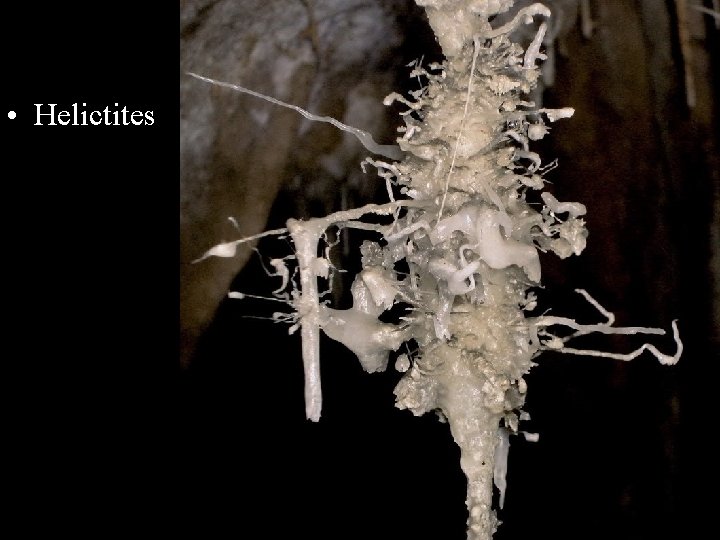 Click here for an animation The Water Cycle