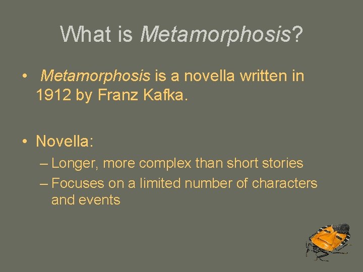 What is Metamorphosis Metamorphosis is a novella written