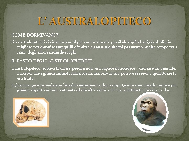 LEVOLUZIONE DELLUOMO CLASSE 3C Istituto comprensivo Pisacane Poerio