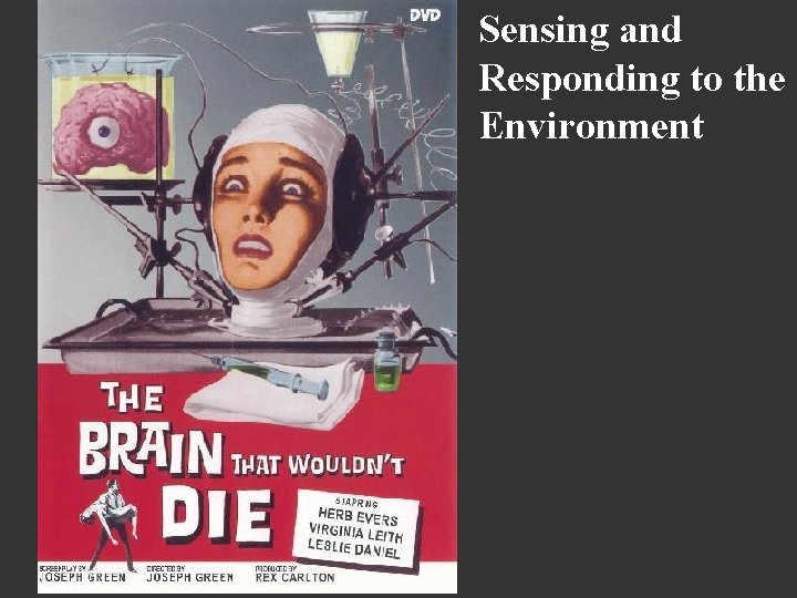 Sensing and Responding to the Environment Nerves allow