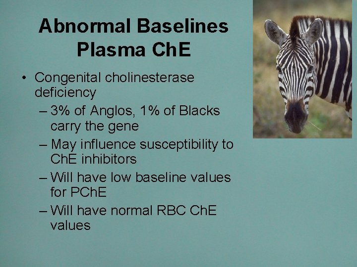 The Biology Physiology of Cholinesterase Running a Cholinesterase