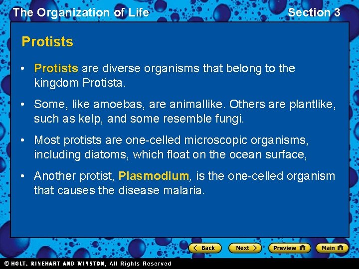 The Organization of Life Section 3 The Diversity