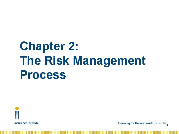 Chapter 2 The Risk Management Process 1 Objectives