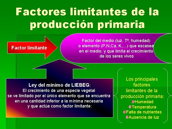 Circulacin de materia y energa en la biosfera
