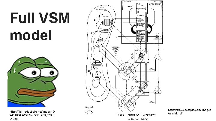 Viable System Model Jolene Hurtubise Omar Khattab Background