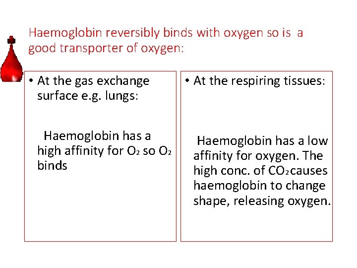 Haemoglobin Haemoglobin has ONE job to carry oxygen