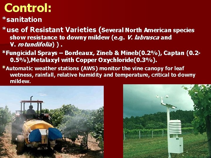 PLANT DISEASE Definition a series of visible and