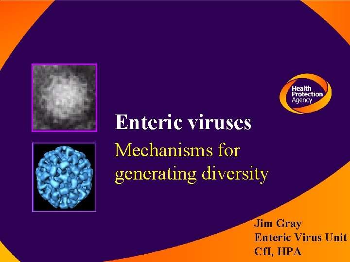 Enteric viruses Mechanisms for generating diversity Jim Gray
