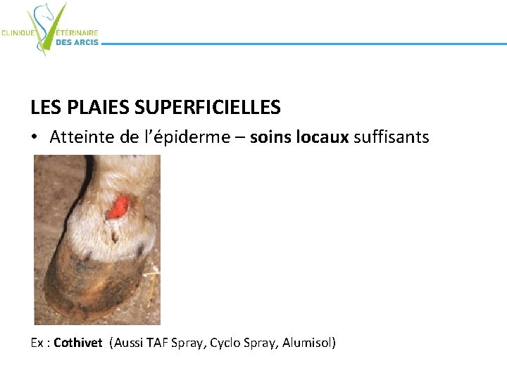 LES PLAIES DU CHEVAL Les plaies du cheval