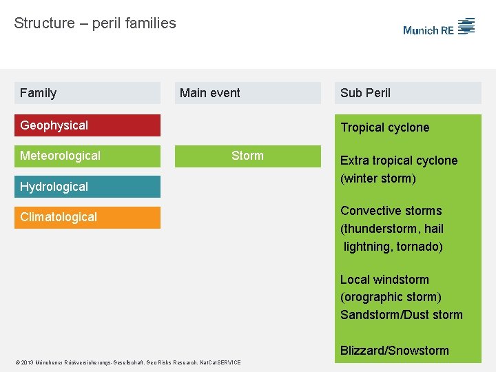 Munich Re Nat Cat SERVICE Disaster loss data