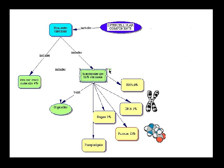 Macromolecules For Identification Harrison Forensics All living things
