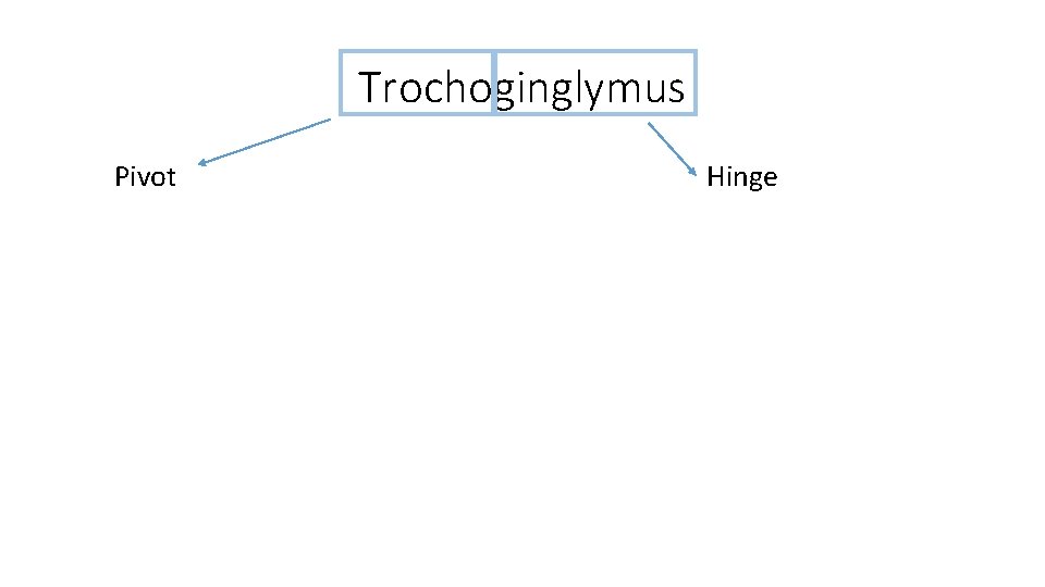 Elbow Joint Dr Danial Safavi MD Basic concepts