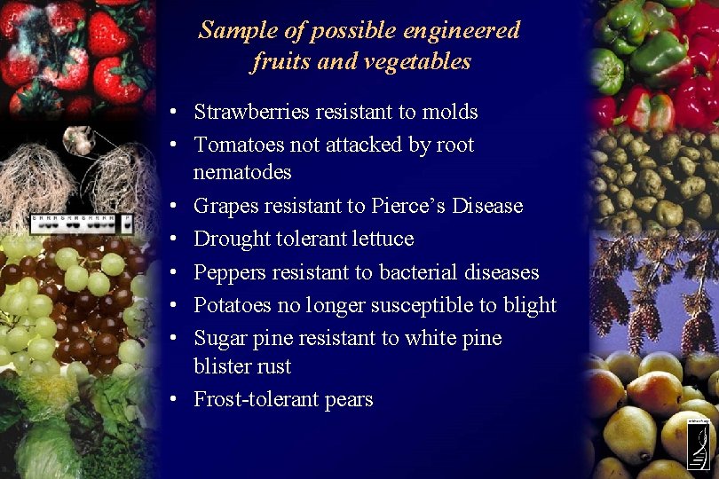 BIOTECHNOLOGY 101 all you need to know in