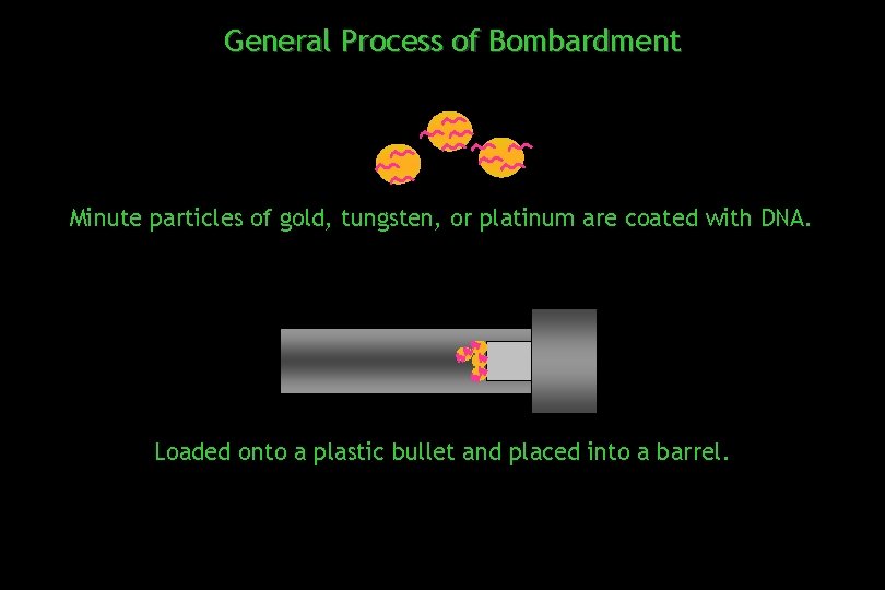 BIOTECHNOLOGY 101 all you need to know in