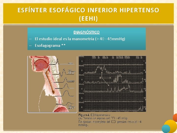 UNIVERSIDAD AUTONOMA DEL ESTADO DE MORELOS FACULTAD DE