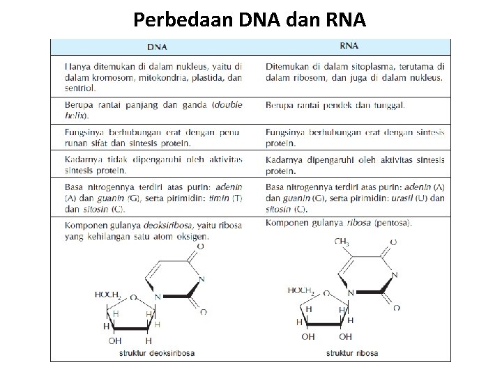 BAB 3 HEREDITAS Tujuan Pembelajaran Setelah mempelajari bab