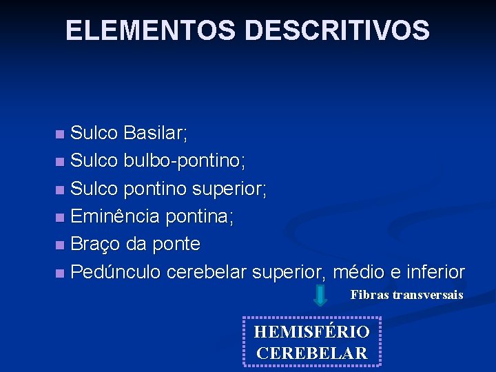 Anatomia do Tronco Enceflico Diana Babini Recife 2013