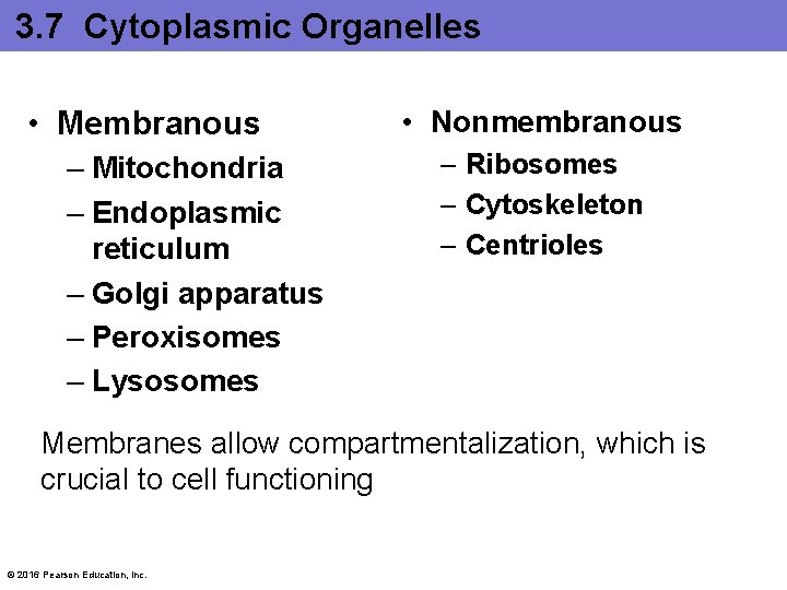 Chapter 3 Part C Cells The Living Units
