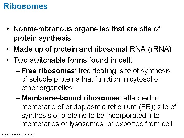 Chapter 3 Part C Cells The Living Units