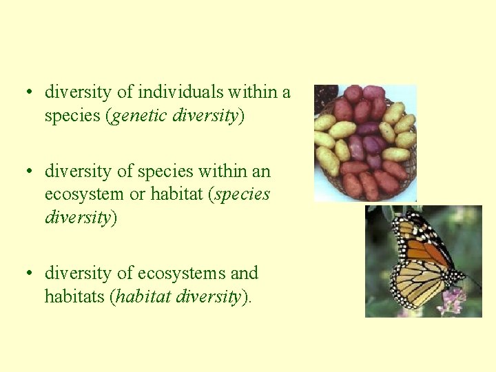 Biodiversity What is it Why is it important