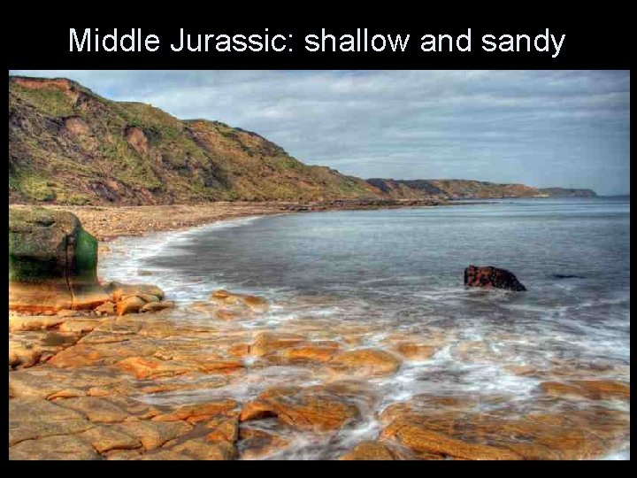 Fossils of the Yorkshire Coast Dr Liam Herringshaw