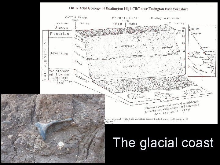 Fossils of the Yorkshire Coast Dr Liam Herringshaw