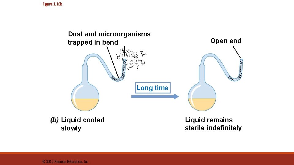 140 MIC Microbiology Lecture4 History of microbiology Part1
